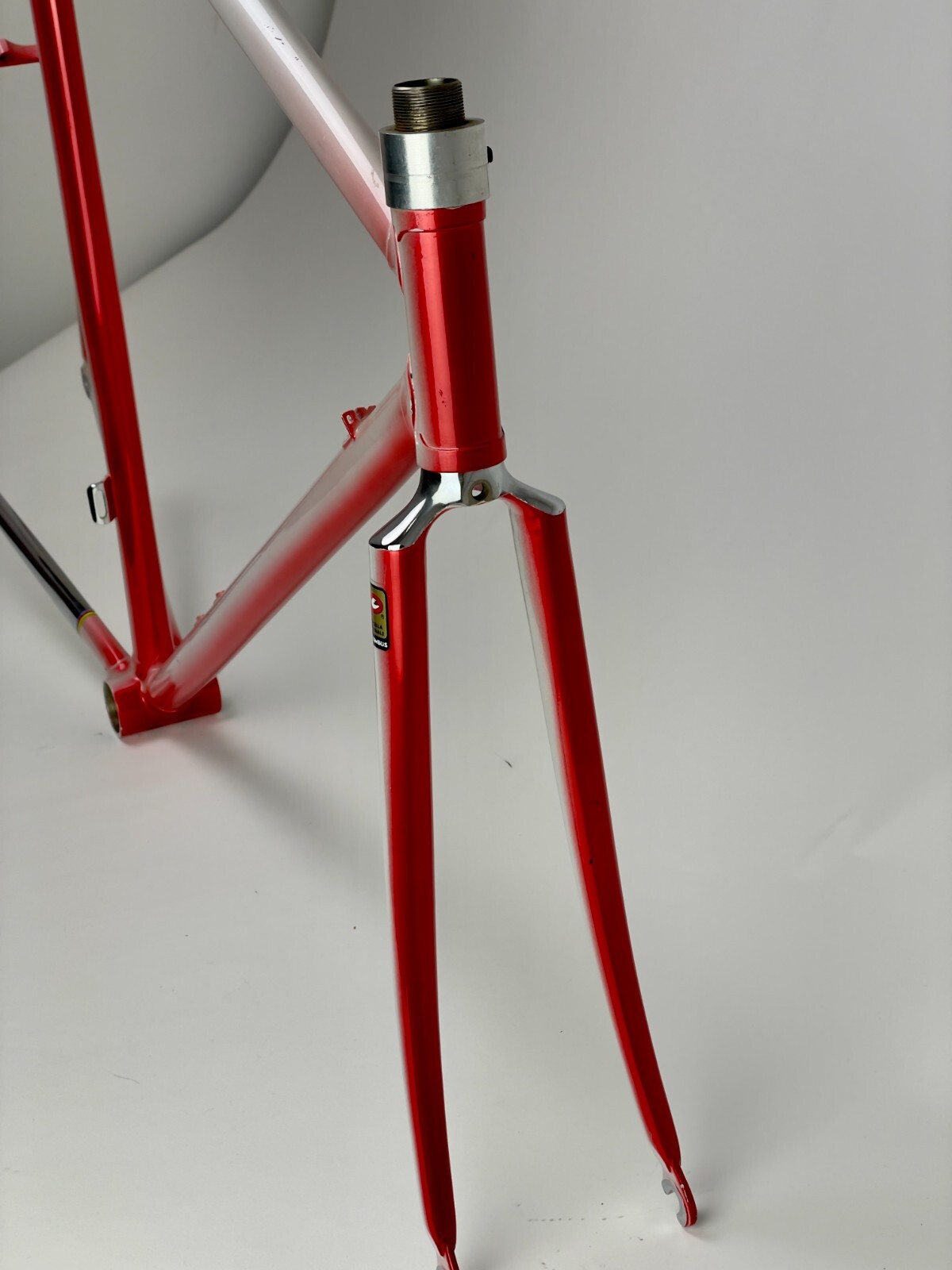 Vintage Lugged Steel Time Trial TT Funny Bike Bike Frame Set 60cm ...