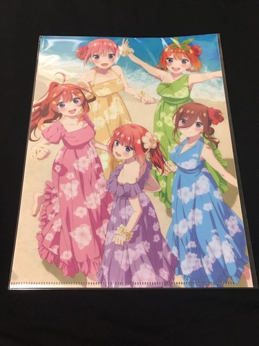 The Quintessential Quintuplets A4 Clear File Anime Charakter Animation ...