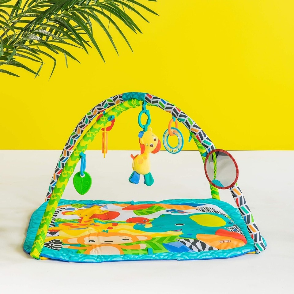 Zippy Zoo Activity Gym | eBay