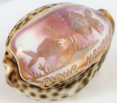 VINTAGE HAWAIIANA CARVED SHELL CAMEO HAWAII SOUVENIR FISH ALOHA ...