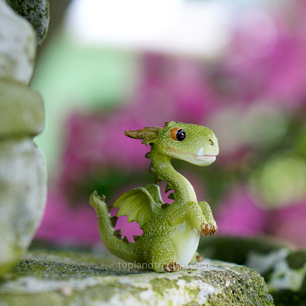 Miniature Garden Mini Dragon Happy TO 4412 Figurine | eBay