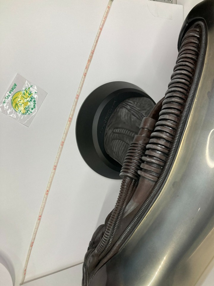 Alien Quadrilogy 25th Anniversary Head Figure only W53cm H33cm D21cm | eBay