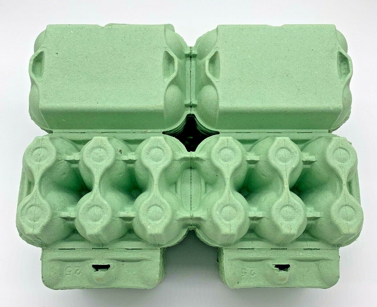 Egg Carton Dozen Buy Hatchimals Colleggtibles One Dozen Egg Carton