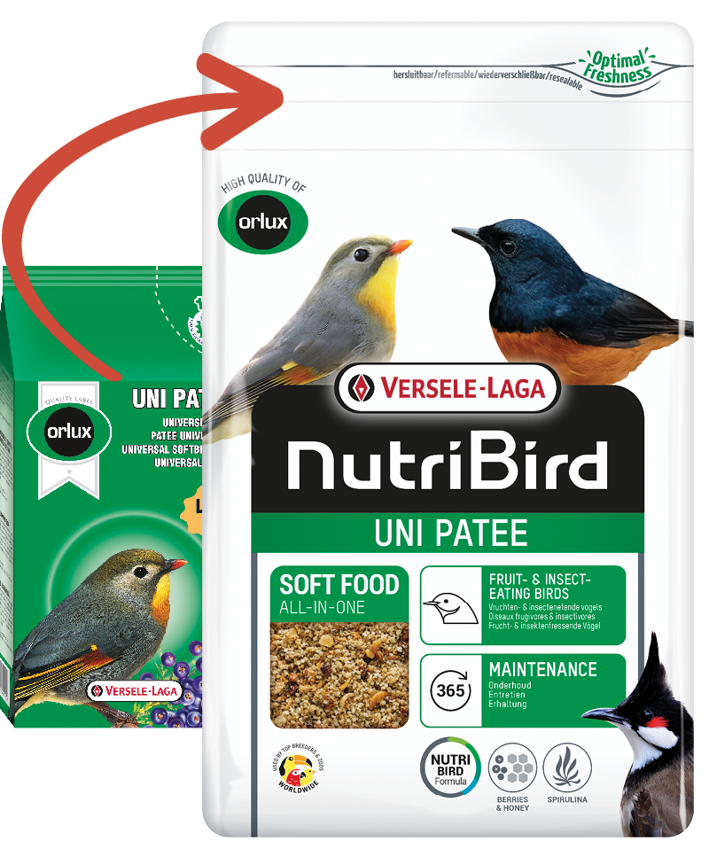 Versele Laga NutriBird Uni Patee 25kg - Softbill Food Insect-Eating ...
