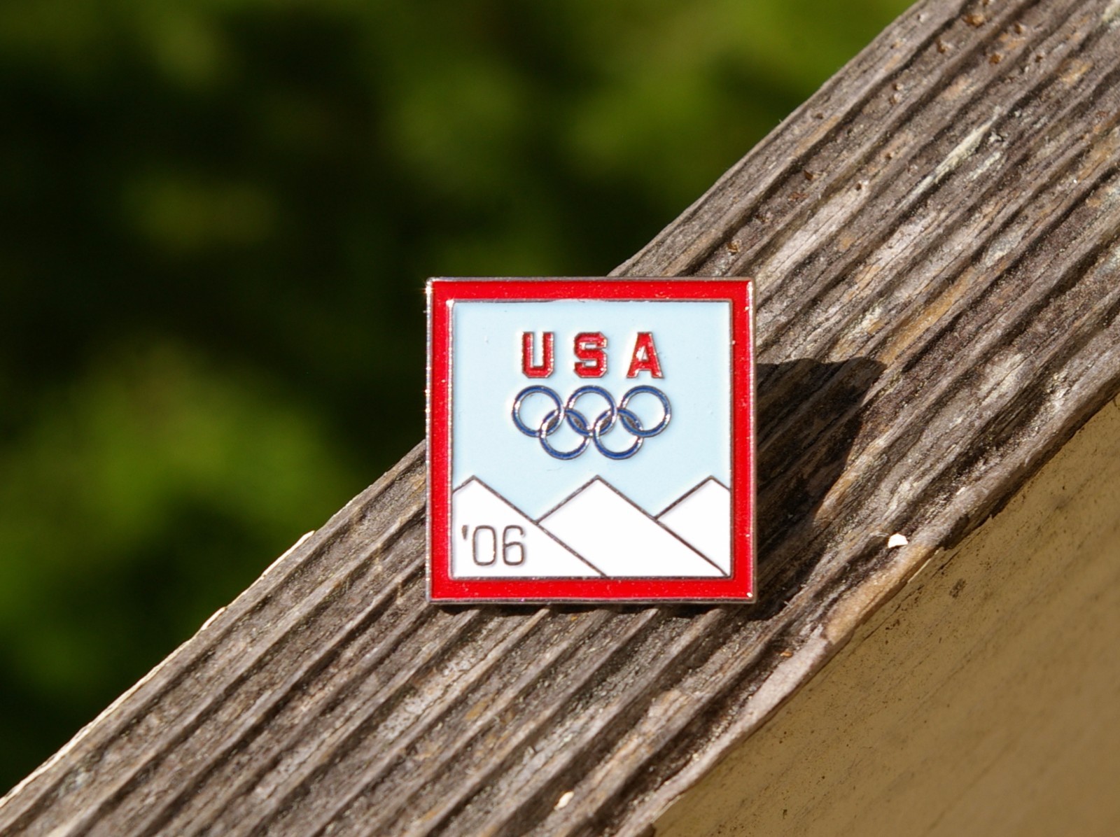 USA '06 Winter Olympic Rings Mountains Red White Blue Metal & Enamel ...