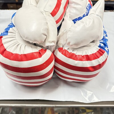 2 PAIRS -boxing Gloves :USA 18 OZ & 16 oz - Sparring Faux Leather | eBay