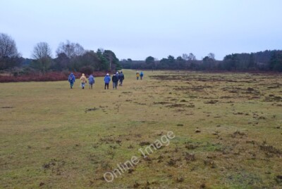 Photo 6x4 Walking on Long Slade Bottom Mead End/SZ2698 c2011 | eBay