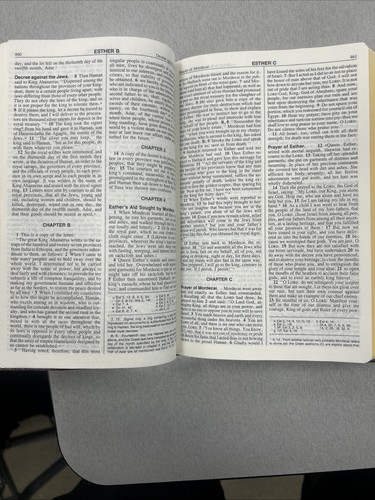 Vintage New American Bible Fireside Study Edition Catholic 2003; John Paul II | eBay