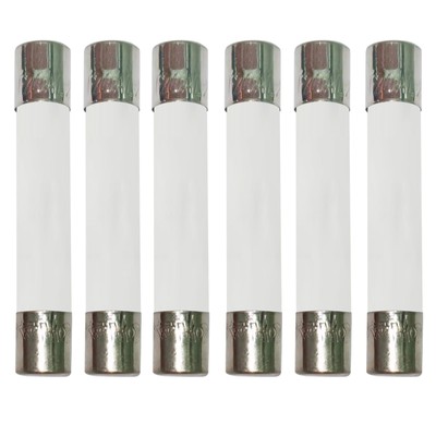 20 Amp Microwave Fuse 20a Ceramic Fuse 20a Fuse 250V Slow-Blow ...