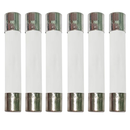 20 Amp Microwave Fuse 20a Ceramic Fuse 20a Fuse 250V Slow-Blow ...