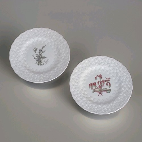 Bermuda Flowers 9" Plates - Set of 2 COPELAND SPODE England - Juniper ...