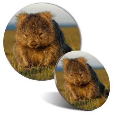 Mouse Mat & Coaster Set Cute Tasmanian Wombat Wild Animal #50703 | eBay