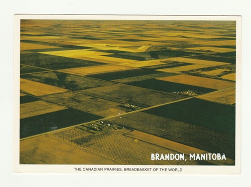 Brandon, Manitoba, with Grain Fields from Aerial View | eBay