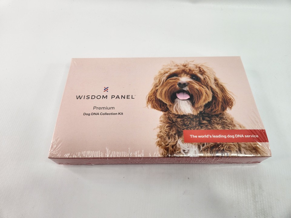 Wisdom Panel DNA Kit Premium Dog 265+ Health Tests, Identify 365+ Dog ...