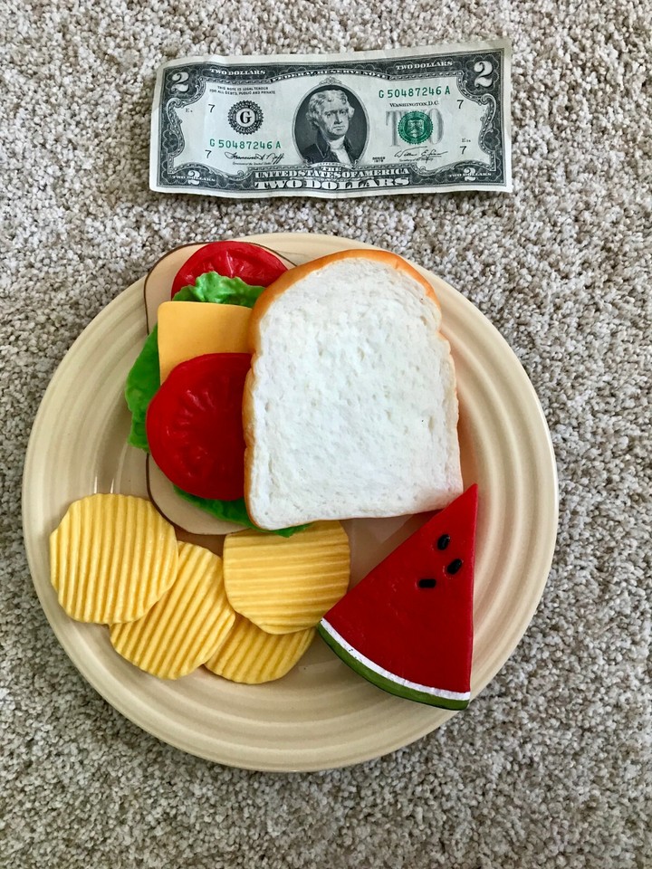 REALISTIC FAKE PRETEND PLAY FUN FOOD KITCHEN DELI TURKEY SANDWICH CHIPS ...