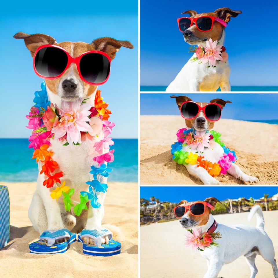 Floral Crown Flower Collar for Dogs Artificial Headband Pet Headwear ...