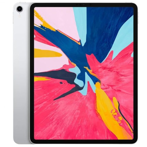 iPad Pro 3rd Gen 12.9in 256GB Wi Fi + Cellular Silver Unlocked MINT 10/ ...