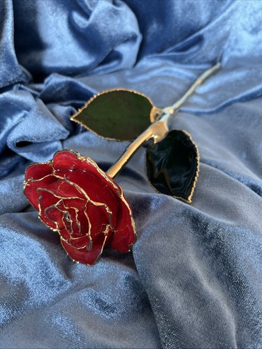 24k Gold Dipped RED, Preserved Real Fresh Rose" Mothers Day Holiday ...
