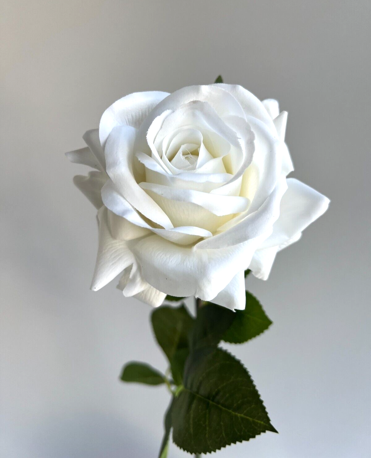 Real touch rose stem latex roses pure white flowers fresh touch faux ...