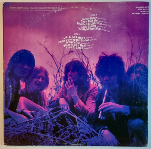 Grapefruit Deep Water LP Psych | eBay