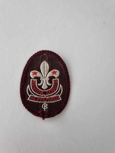 Vintage UK Senior Scouts Badge Patch | eBay UK