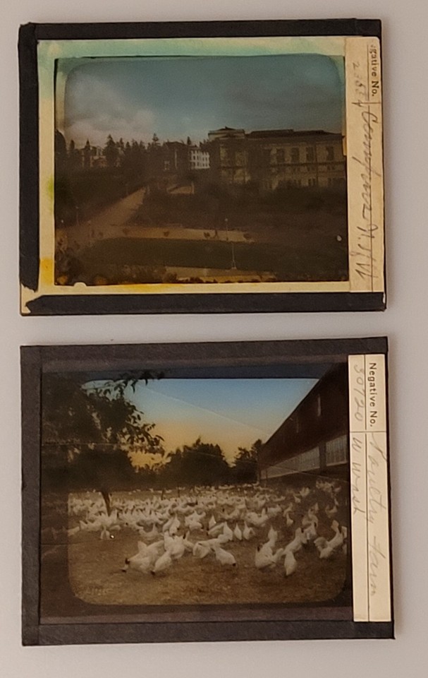 ASAHEL CURTIS LANTERN SLIDES GLASS SEATTLE LANTERN VINTAGE ORIGINAL | eBay