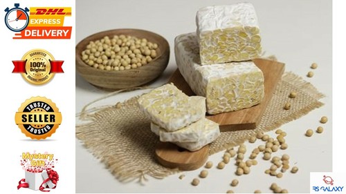 RAPRIMA TEMPEH RAGI TEMPE 500G X 5 PACKS STARTER INOCULUM TEMPE ...
