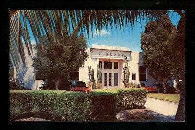 Florida FL postcard Hollywood, Library palm trees chrome | eBay