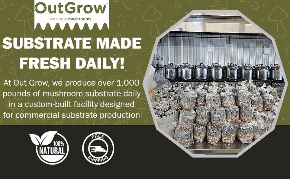 Pasteurized Wheat Straw Mushroom Substrate – 5 lb Grow Bag | eBay