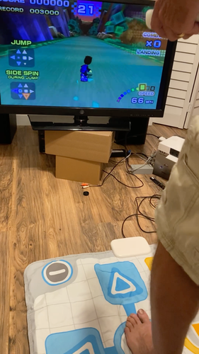 Active Life Outdoor Challenge Game & Mat Controller Nintendo Wii Video ...