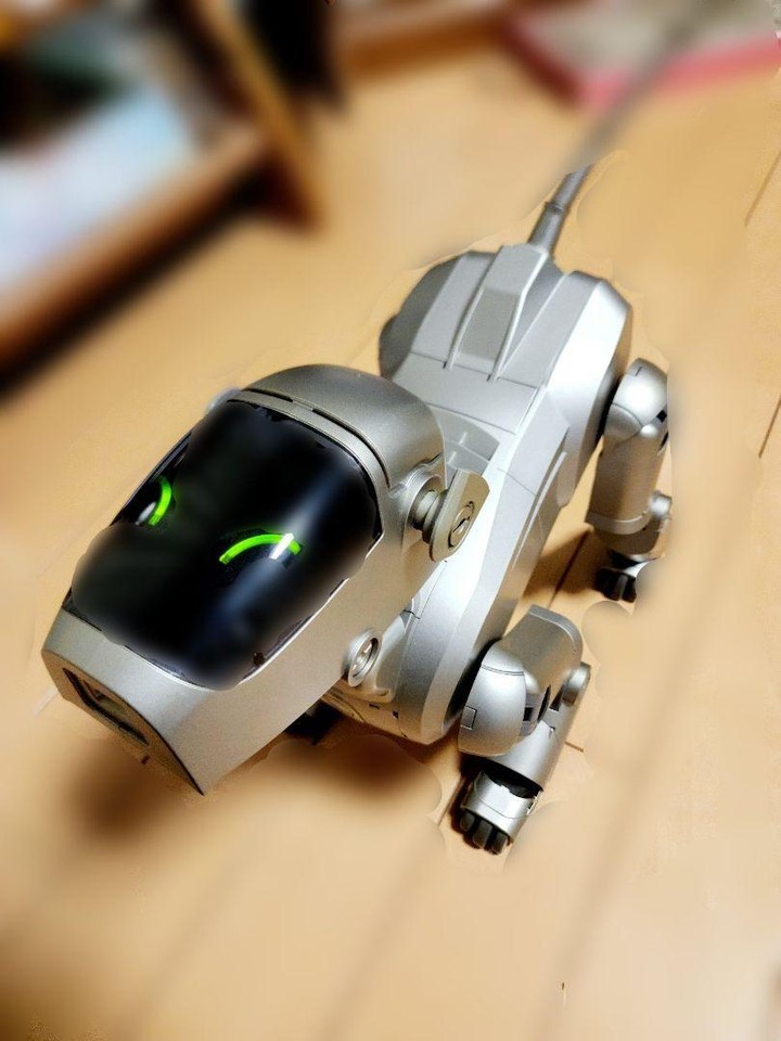 Aibo SONY ERS-110 Robot Pet Dog Japanese tested Dog robot | eBay