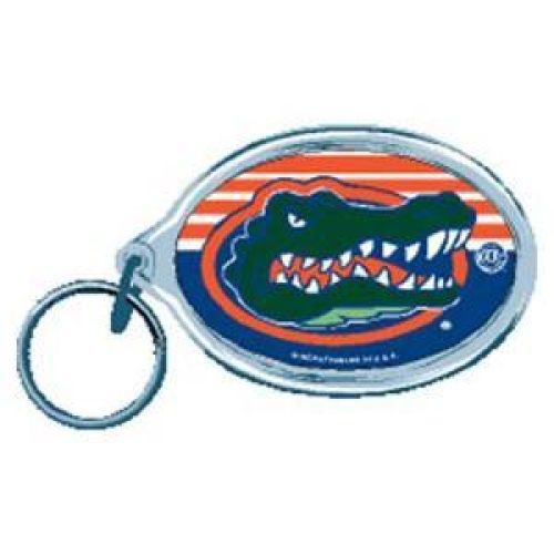 Florida Gators Acrylic Key Ring | eBay