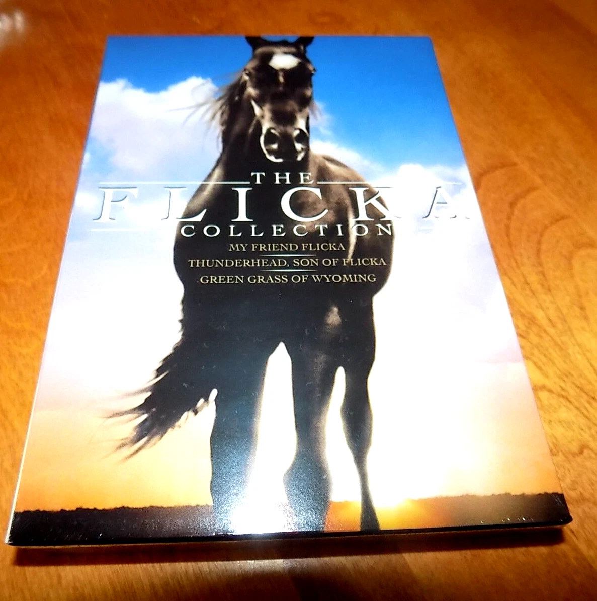 Flicka Movies In Order