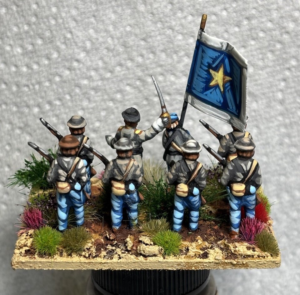 20mm 1/72 well painted ACW American Civil War Confederate Regiment ...