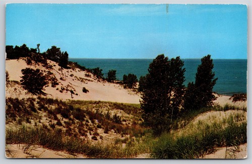 Chesterton Indiana~View Of Trees & Lake Michigan @ Dunes State Park ...
