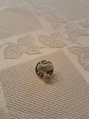 SPILLA PIN FIAMMA CARABINIERI | eBay