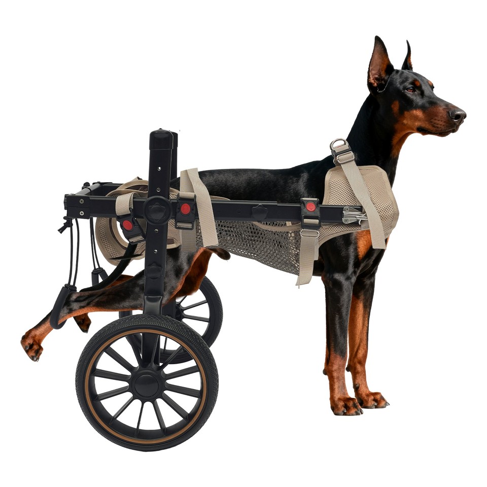 Modern Pet Rehabilitation Walking Aid, 2-wheel Dog Wheelchairs for Back ...