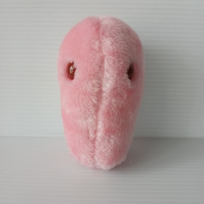 GIANT Microbes Swine Flu | eBay