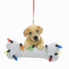 Labrador Retriever w/ Bone & Lights Ornament | eBay