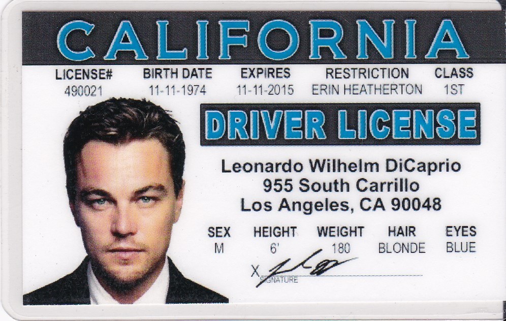 Leonardo DiCaprio novelty Drivers License - fake identification I.D ...