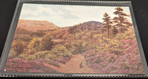 Rare Art Signed Salmon Postcard "A Bye-Path Hindhead" by A.R. Quinton ...