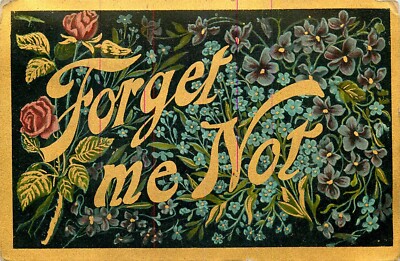 Postcard Greetings Forget Me Not Divided Flowers 1909 Divided | eBay