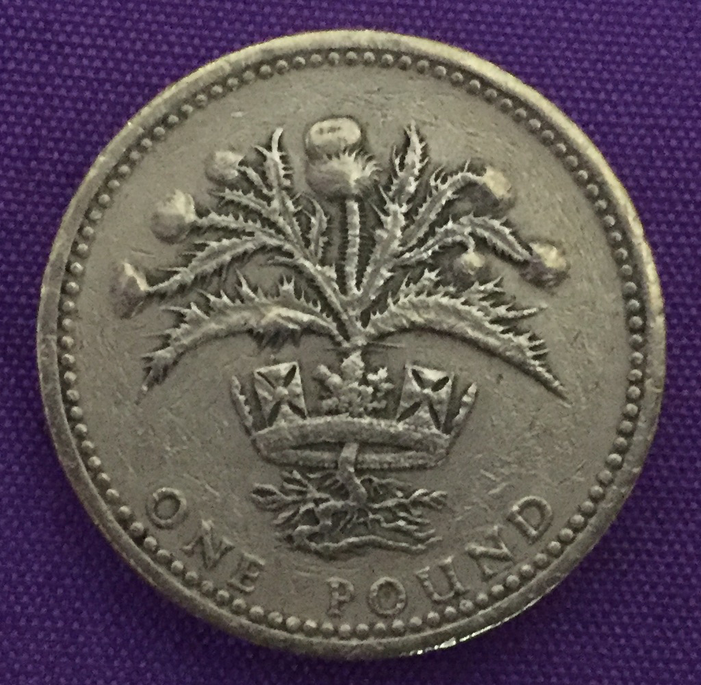 Rare & Collectable £1 Coins - British One Pound Coin Hunt - 1983 to ...