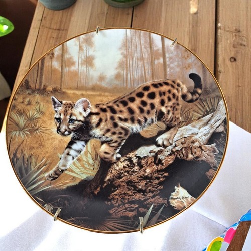 UNO Plate Small Wonders of the Wild Charles Frace Big Cat Baby Hamilton ...