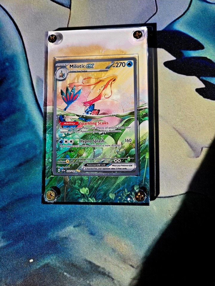 x2 Milotic EX Feebas 237/191 198/191 IR Custom Display Case from ...