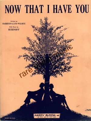 1932 Now that I have you by Harrison, Cato, Wilhite and Rubinoff- very ...