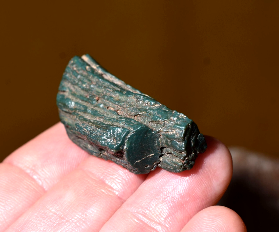 Polished Green Jasper Replaced Petrified Jasperised Wood Hampton Butte ...