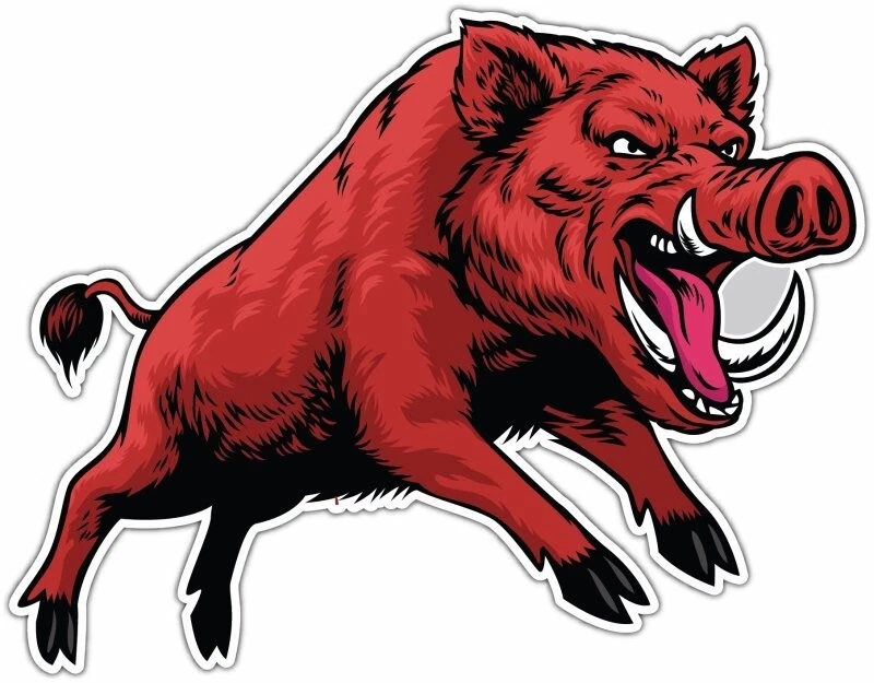 Razorback Boar Logo