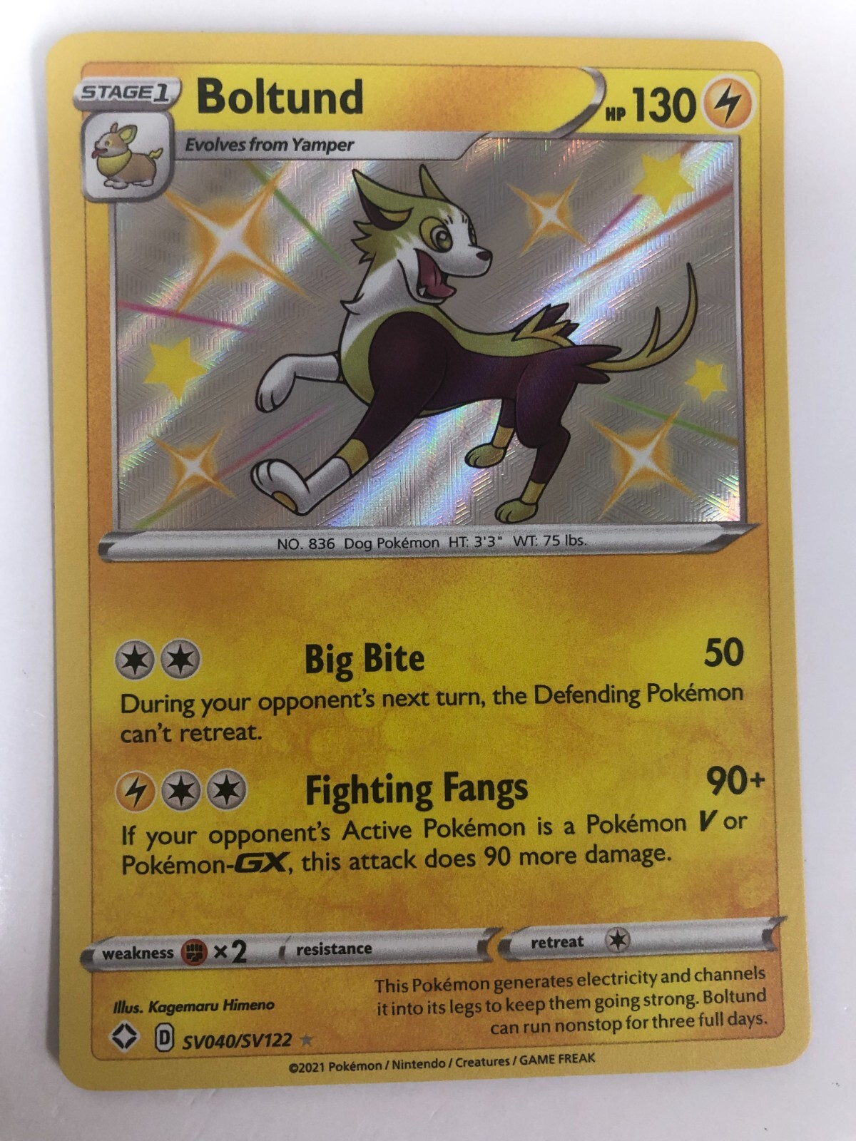 Pokemon Boltund Shining Fates Shiny Vault 2021 NM Foil SV040/SV122 ...