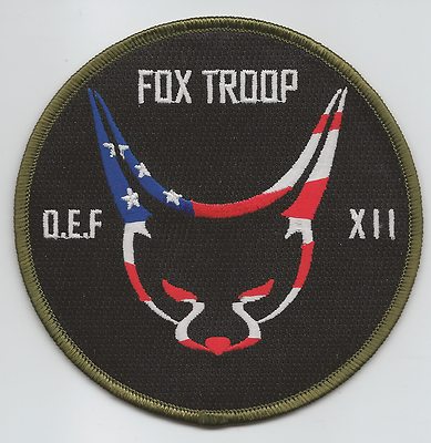 FOX TROOP 1-17th CAV TASK FORCE TALON OEF XII patch | eBay